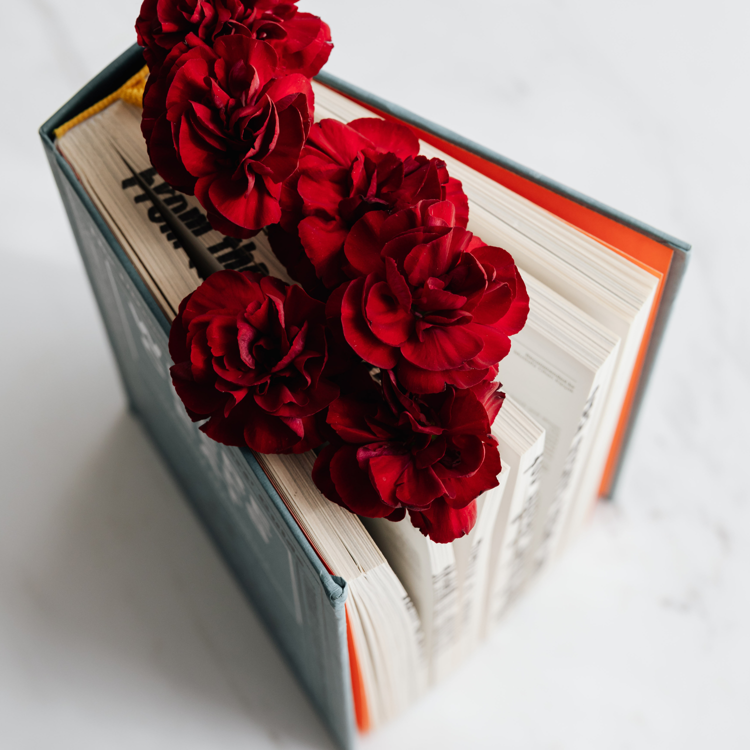 Spicy Reads Starter Pack: a guide to romance with just the right heat ...